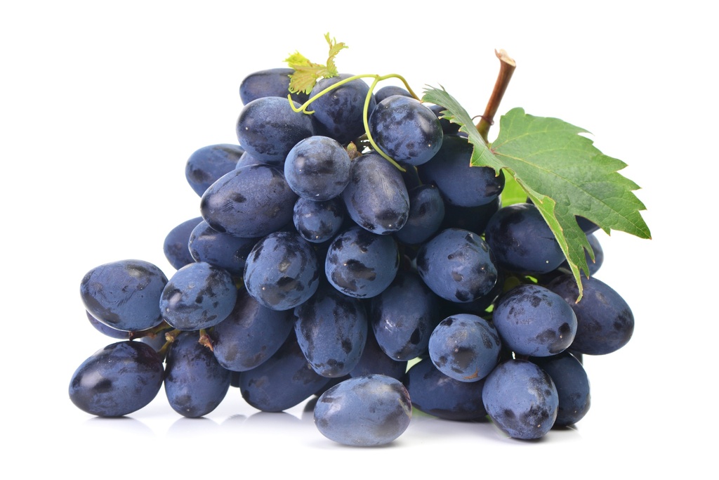 Trauben blau kernlos 500g * | darello